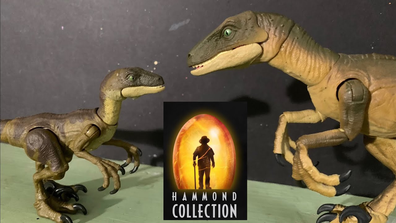 Hammond Collection - Jurassic Park Velociraptor Review - YouTube
