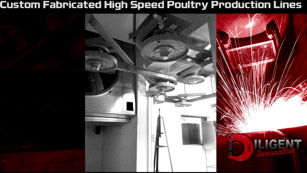 Custom Fabricated High Speed Poultry Production Lines - YouTube