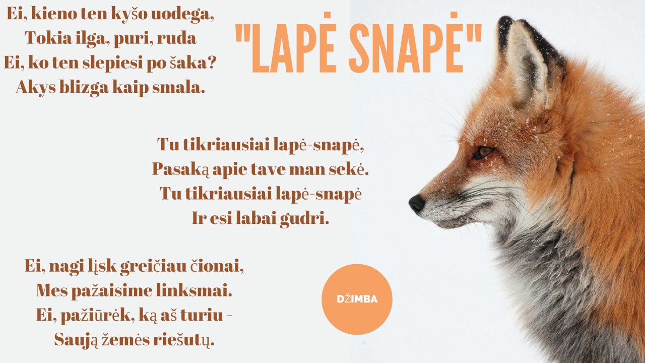 DŽIMBA SU TAJA - Lapė snapė - YouTube
