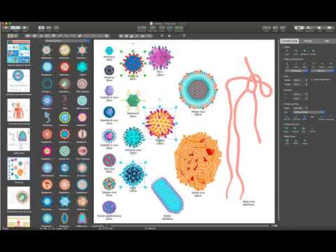 Medical Virology Diagrams and Infographics - YouTube
