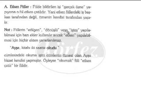 (10) fiilde catı.mp4