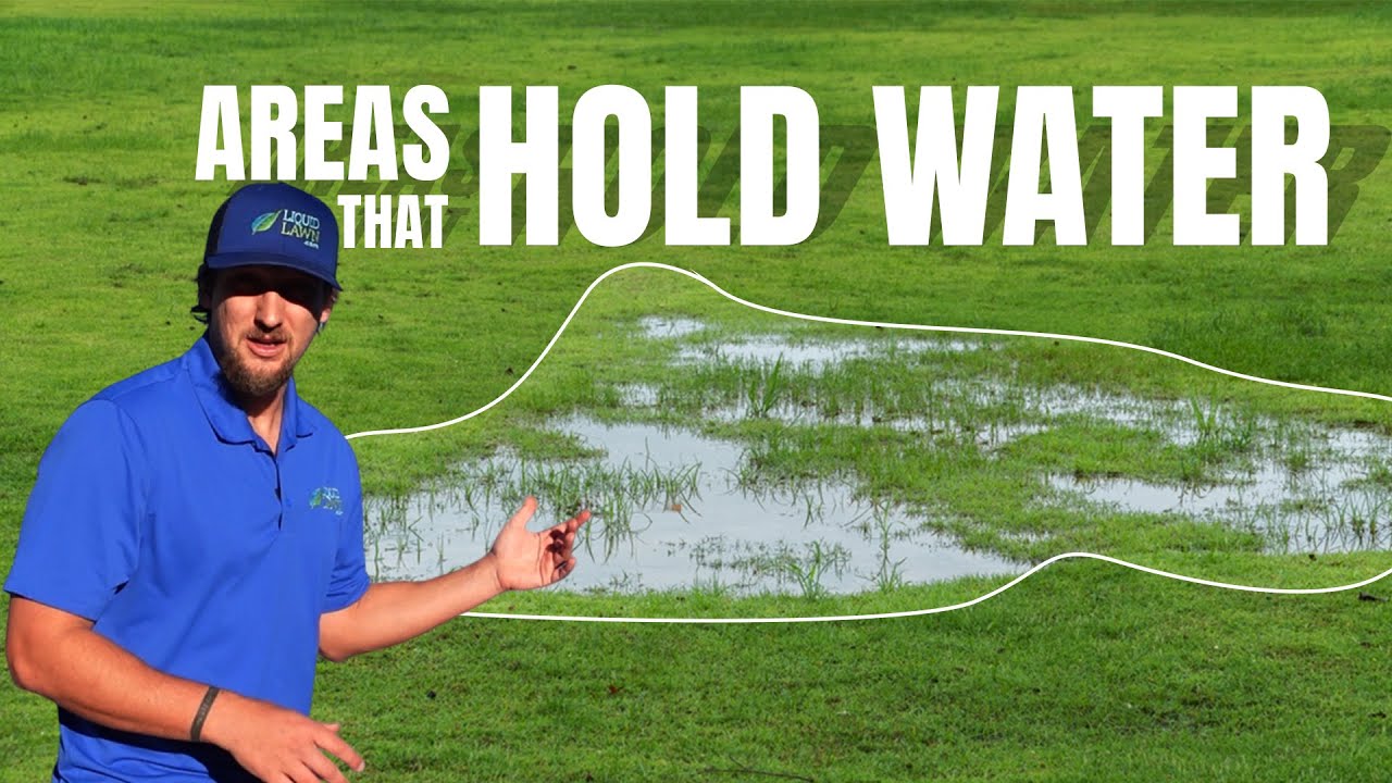 How to Fix Standing Water in Your Yard | Lawn Drainage Solutions - YouTube