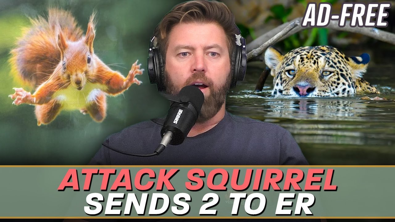 Attack Squirrel Sends Two People to the Hospital (Ad-Free) - YouTube