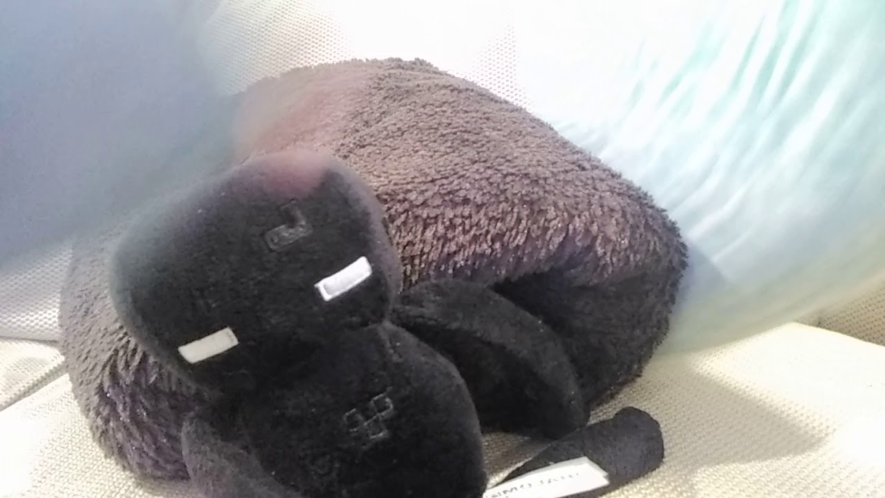 Enderman invasion - YouTube