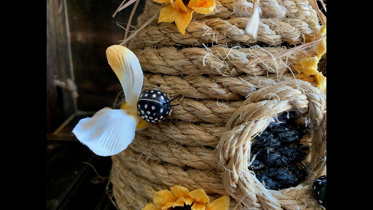 DIY Beehive & Bees - YouTube