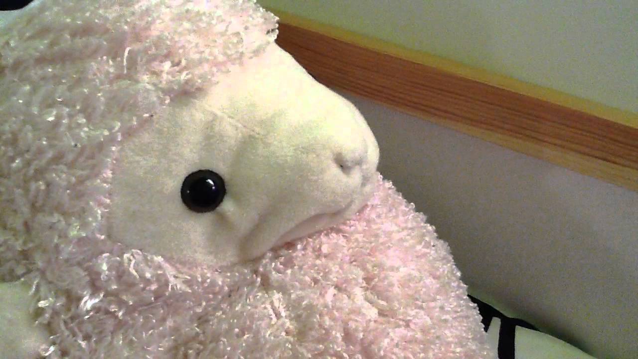 Silly huge pink sheep - YouTube