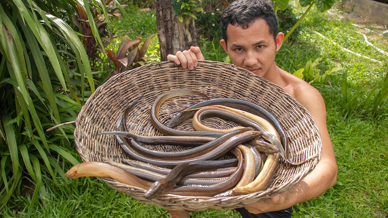 Cooking Eels Soup Recipe In My Village - YouTube