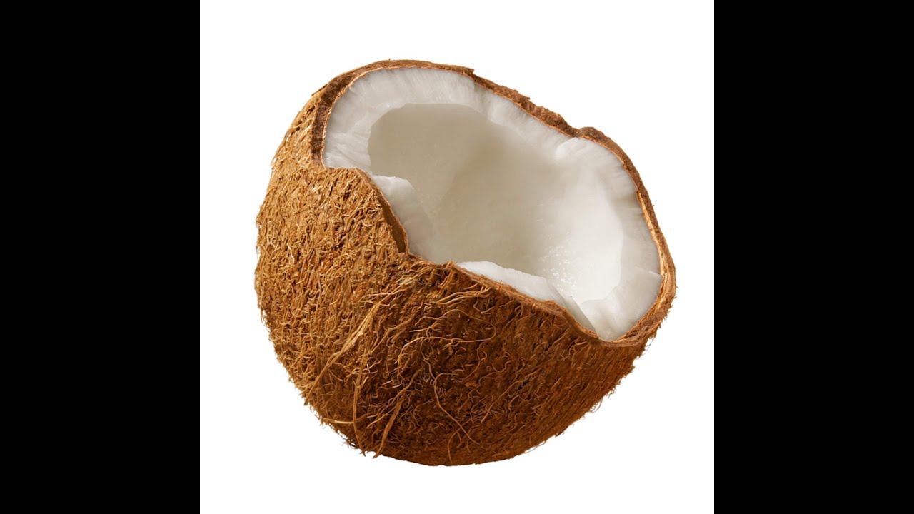 Da KOkoNuT Song but Better - YouTube