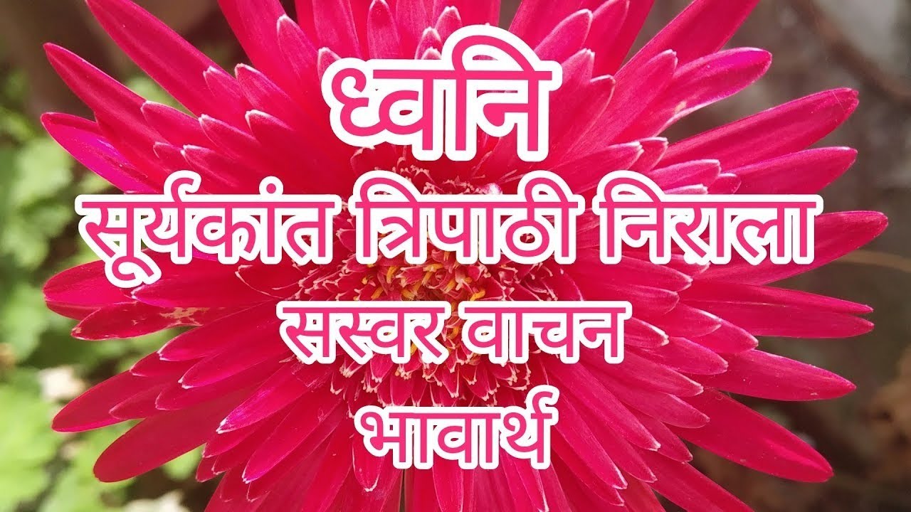 ध्वनि Explanation Dhwani Poem सस्वर वाचन व भावार्थ Class 8 Hindi CBSE ...