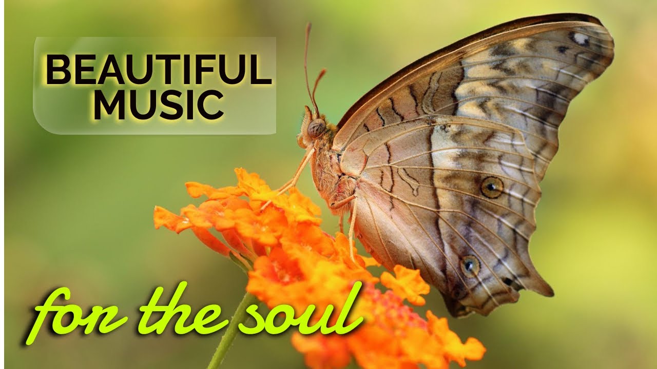 music for soul 1. Music for every day. Music for relaxation. Music for ...