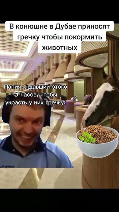 1 ЛАЙК = 1 ПАЧКА ГРЕЧКИ 🤑 - YouTube