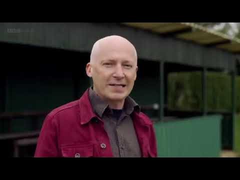 The Secret Rules of Modern Living Algorithms Documentary - YouTube