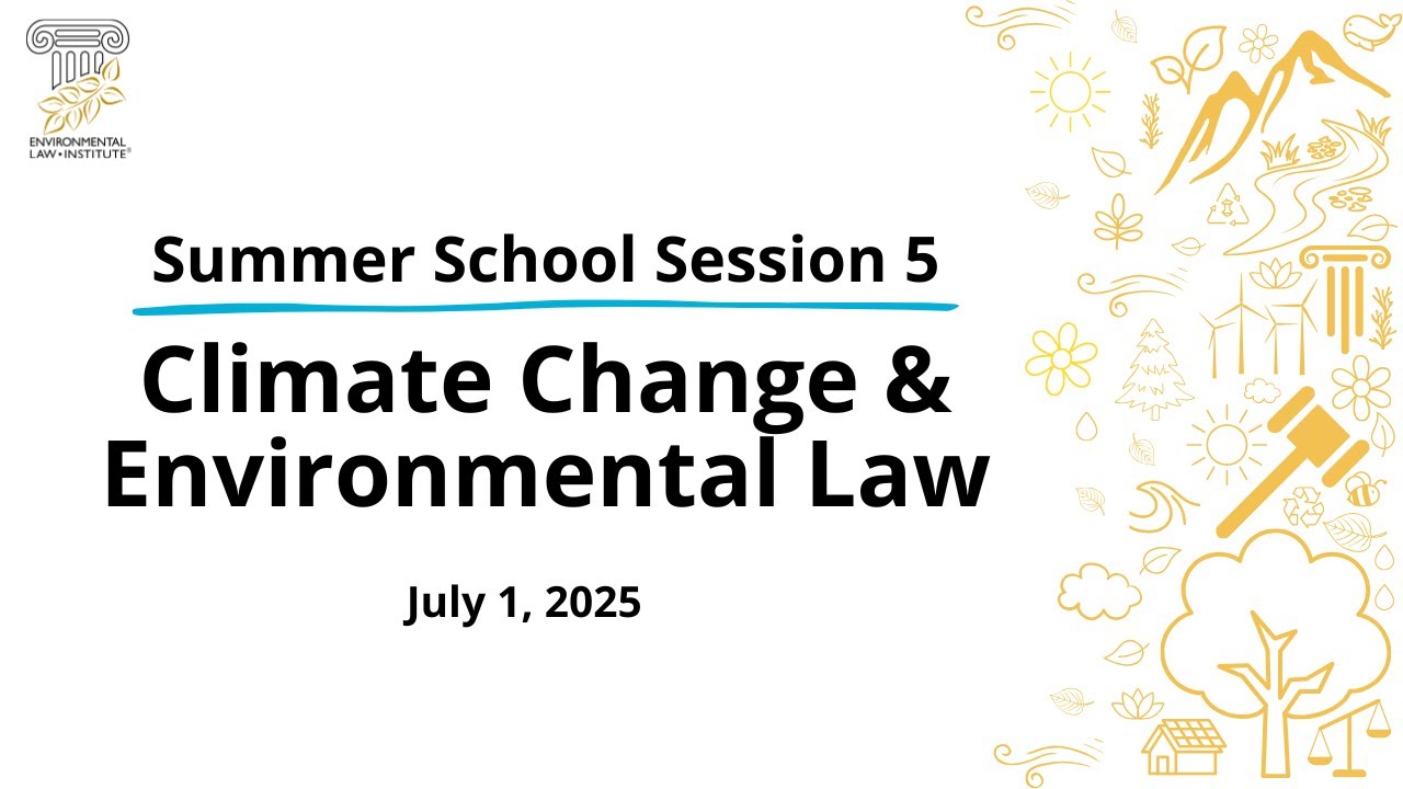 Summer School Session 5: Climate Change and Environmental Law - YouTube