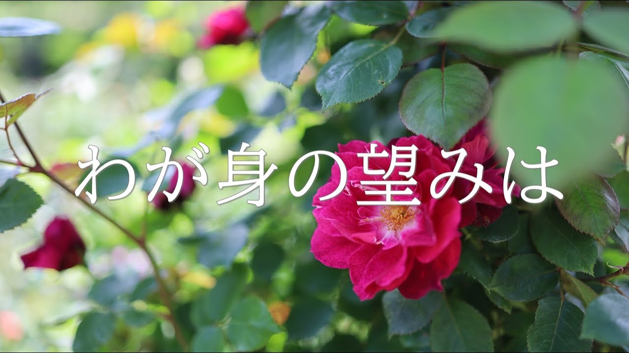 讃美歌21 474「わが身の望みは」多重録音 - YouTube