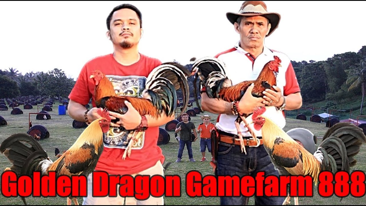 Lets Visit The Farm Of Golden Dragon Gamefarm 888 - YouTube