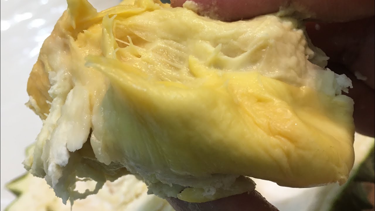 Durian D15 / Chap Goh Hor - unsung durian.. melekat kaw.. meliuuu ...