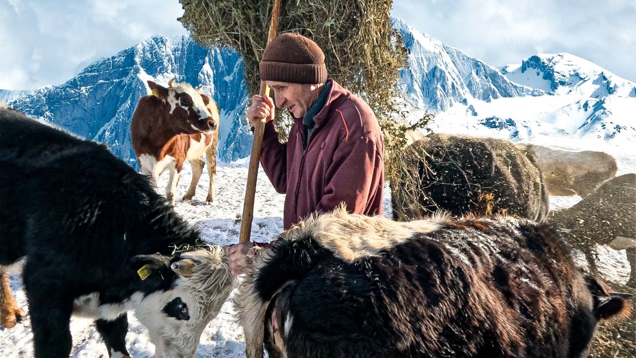 Village Life in Mountains the Truth About Living in a Freezing Winter ...