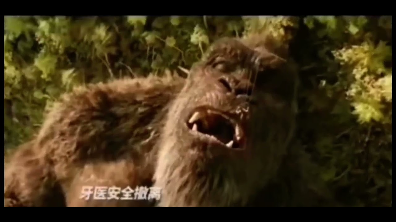 Kong has a infected tooth! #trending #godzilla #kong - YouTube