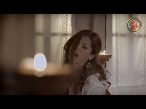LZN 246 |  Điha điha četiri noge!