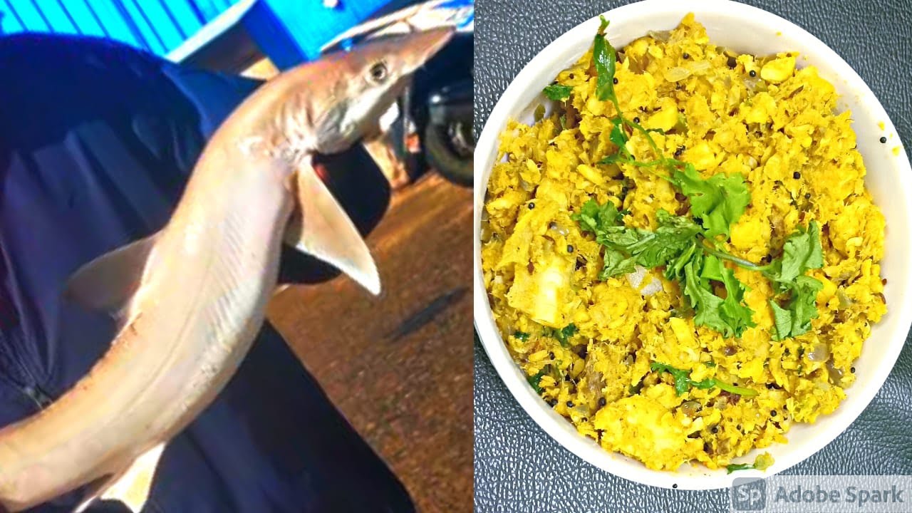 சுவையான,Easy சுறா புட்டு, பொடிமாஸ் செய்வது எப்படி shark fish |sura ...