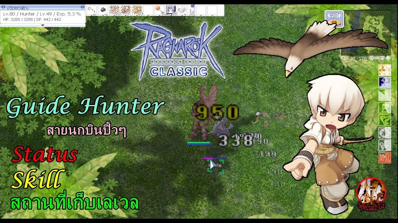 Ragnarok Classic : ฮันเตอร์สายนก มันก็จะปิ้วๆ หน่อยนะ - YouTube