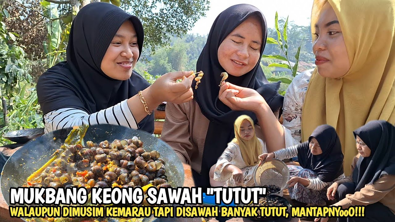 MUKBANG TUTUT/KEONG SAWAH, Walaupun Lagi Musim Kemarau Tapi Banyak ...