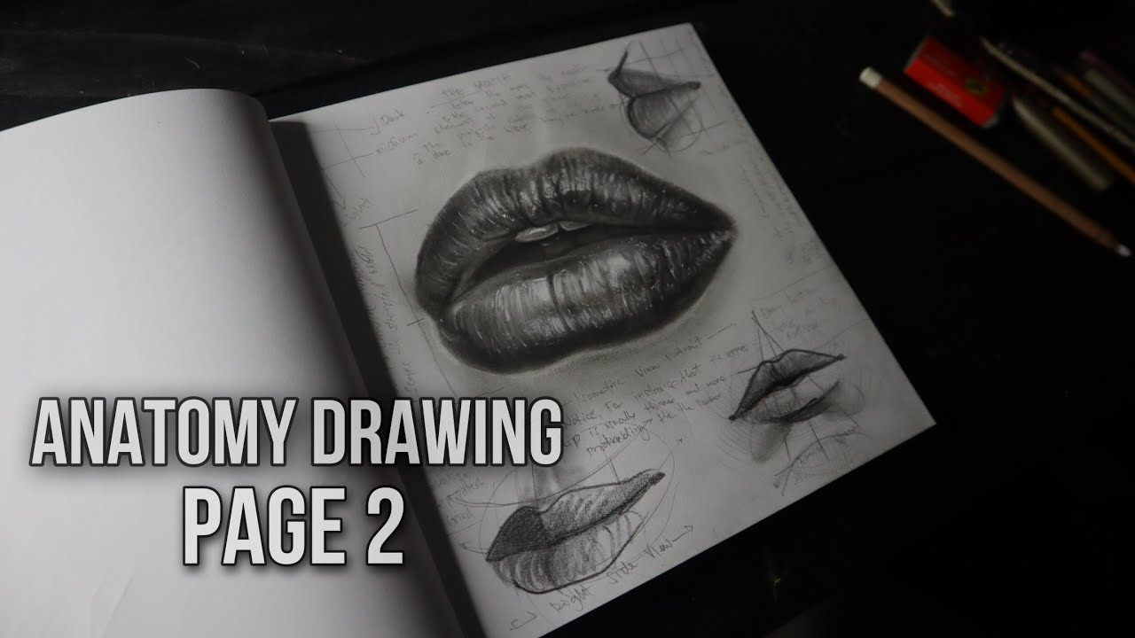ANATOMY DRAWING page 2 | LIPS anatomy - YouTube