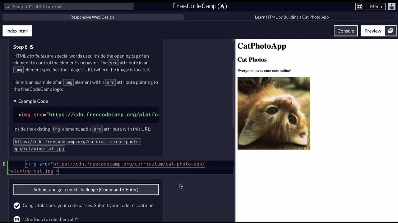 FreeCodeCamp - Responsive Web Design - Step 8 of 71 - Learn HTML by Building a Cat Photo App ...