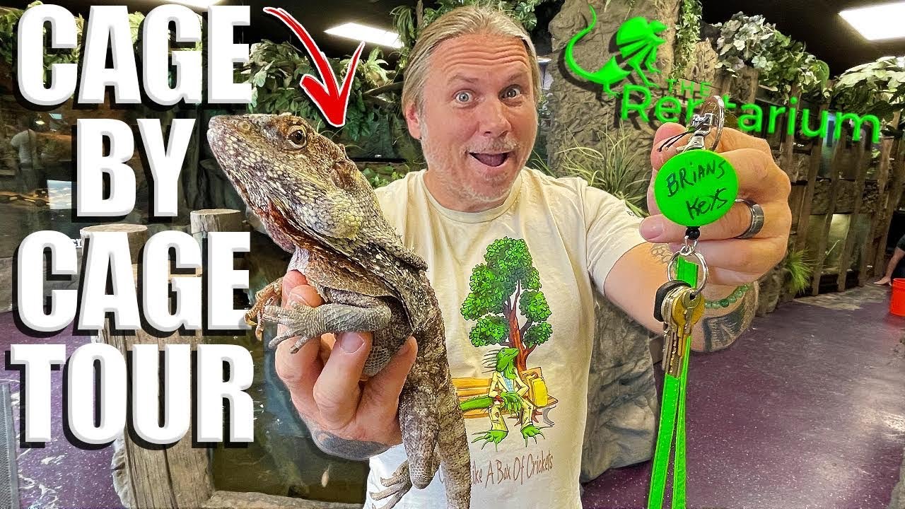 ENTIRE CAGE BY CAGE TOUR OF MY ZOO AND REPTILE BREEDING!! | BRIAN ...