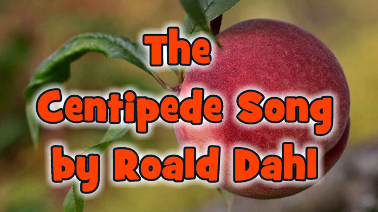 The Centipede Song by Roald Dahl - YouTube
