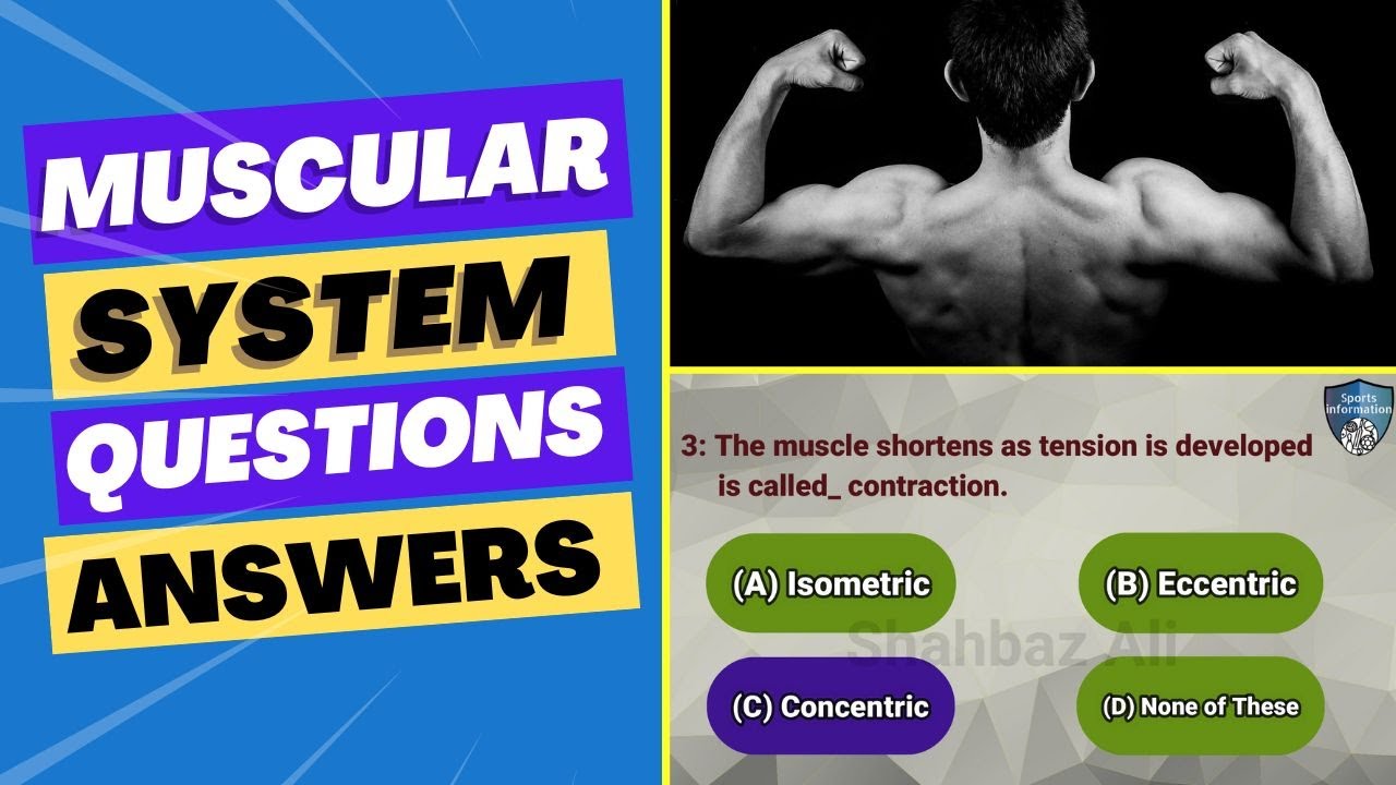 Muscular System Quiz Muscular System Questions And Answers Muscular muscular-system-quiz-muscular-system-questions-and-answers-muscular