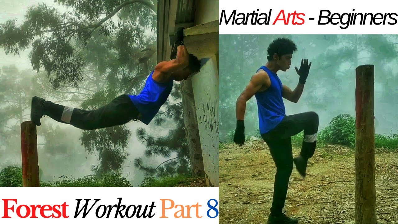 Martial Arts Workout - Beginners /Speed and Strength/ Forest Workout ...