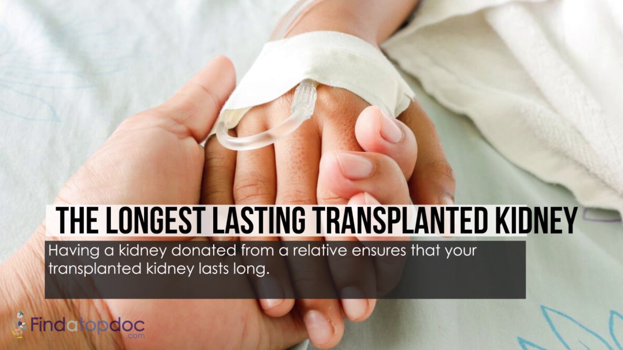 How Long Does A Kidney Transplant Last YouTube