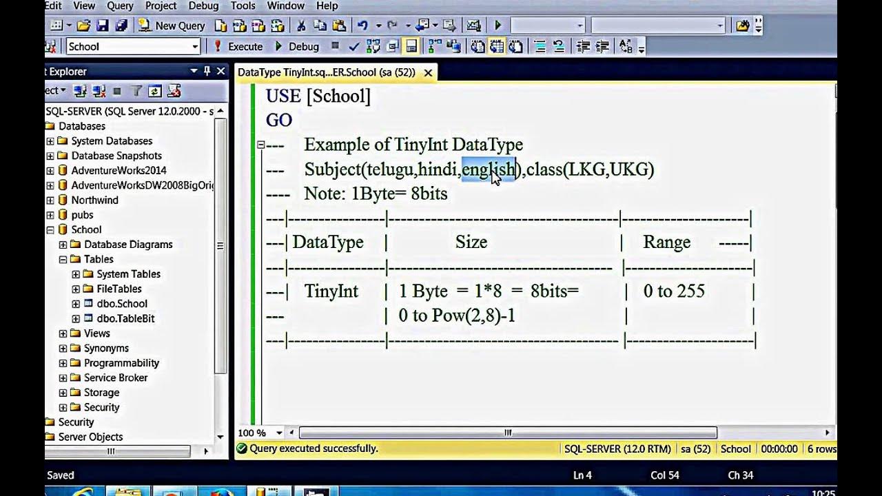 SQL Server Data Type Part 2 - TinyInt (Telugu) - YouTube