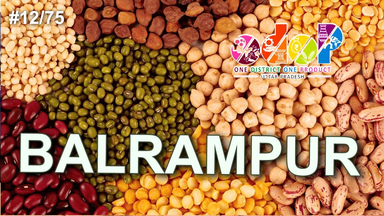 "Odop Balrampur: A Culinary Journey through Food Processing Marvels in ...