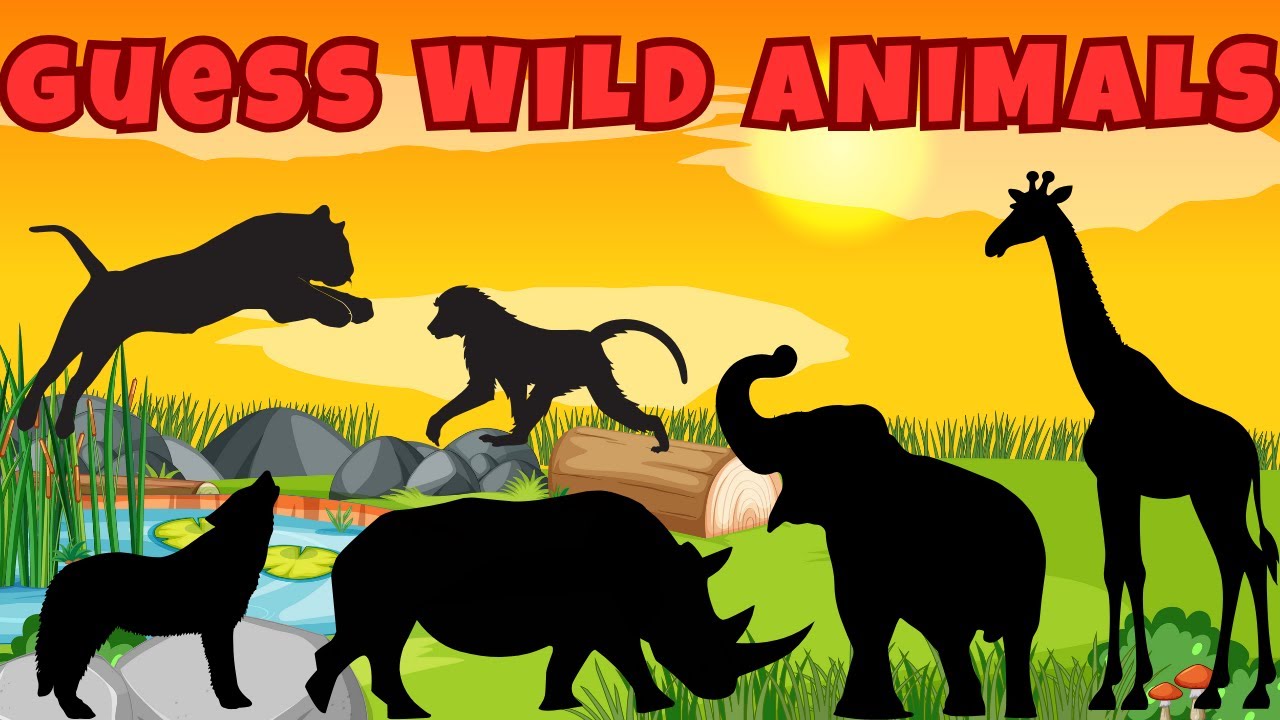 Find the Hidden Wild Animals | Fun Learning Game for Children | Brain ...
