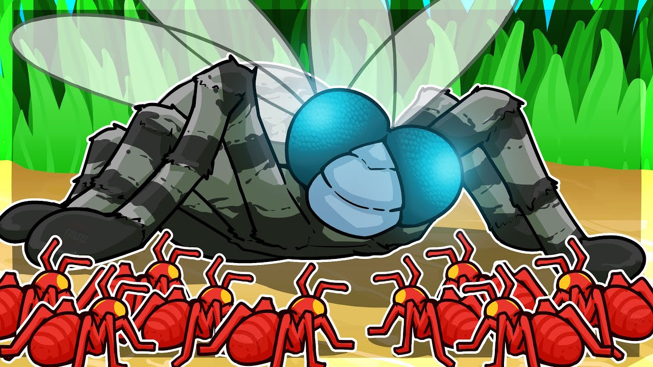 When You Use FIRE ANTS To Battle This TARANTULA HYBRID in Empires Of ...