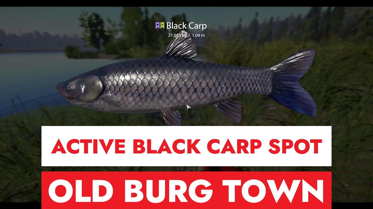 RUSSIAN FISHING 4 - OLD BURG TOWN - ACTIVE BLACK CARP SPOT - YouTube