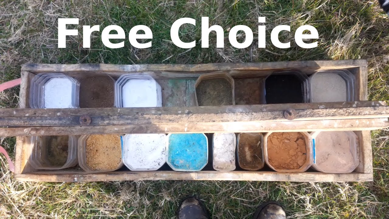 Free Choice Mineral Feeder - YouTube