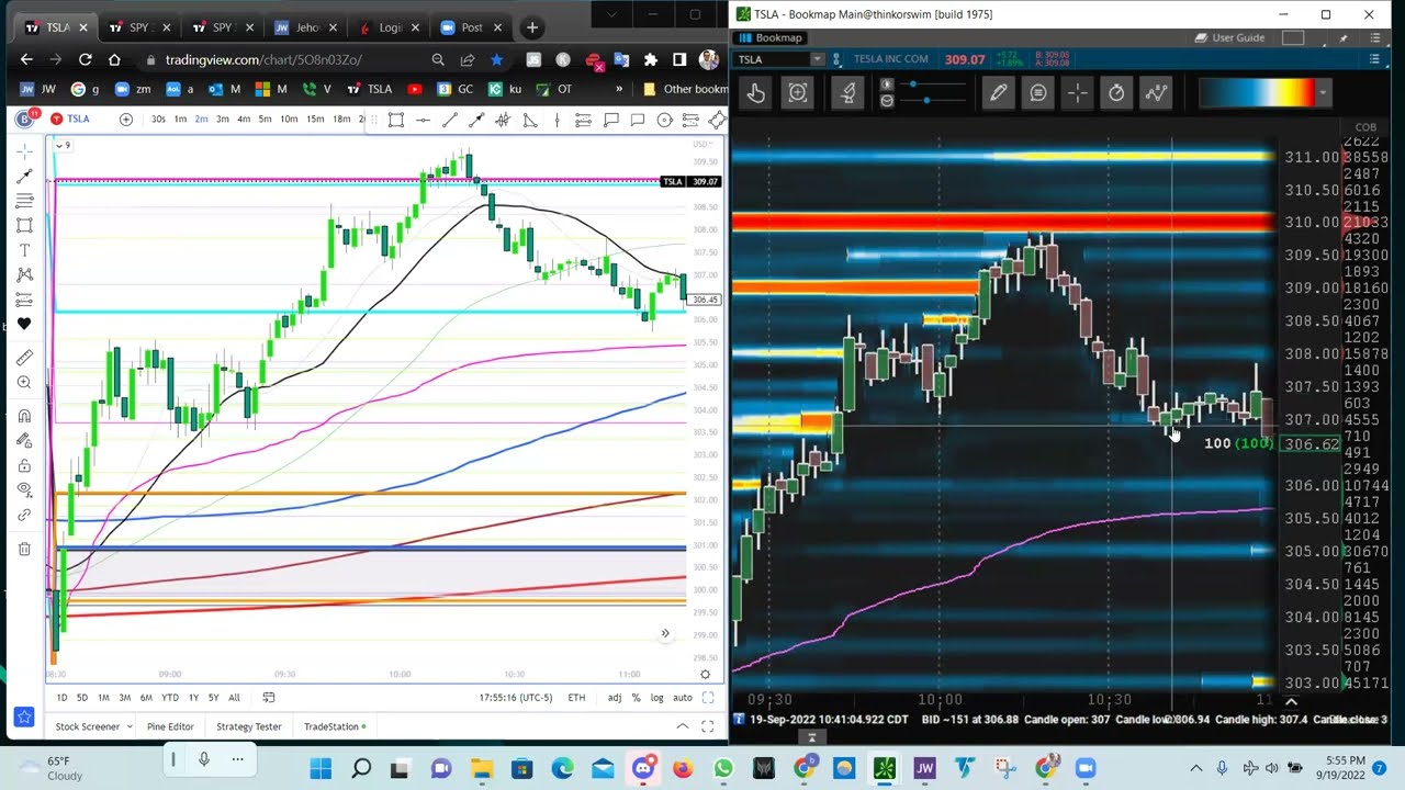 How to scalp & day trade with Bookmap & Indicator Course strategies ...
