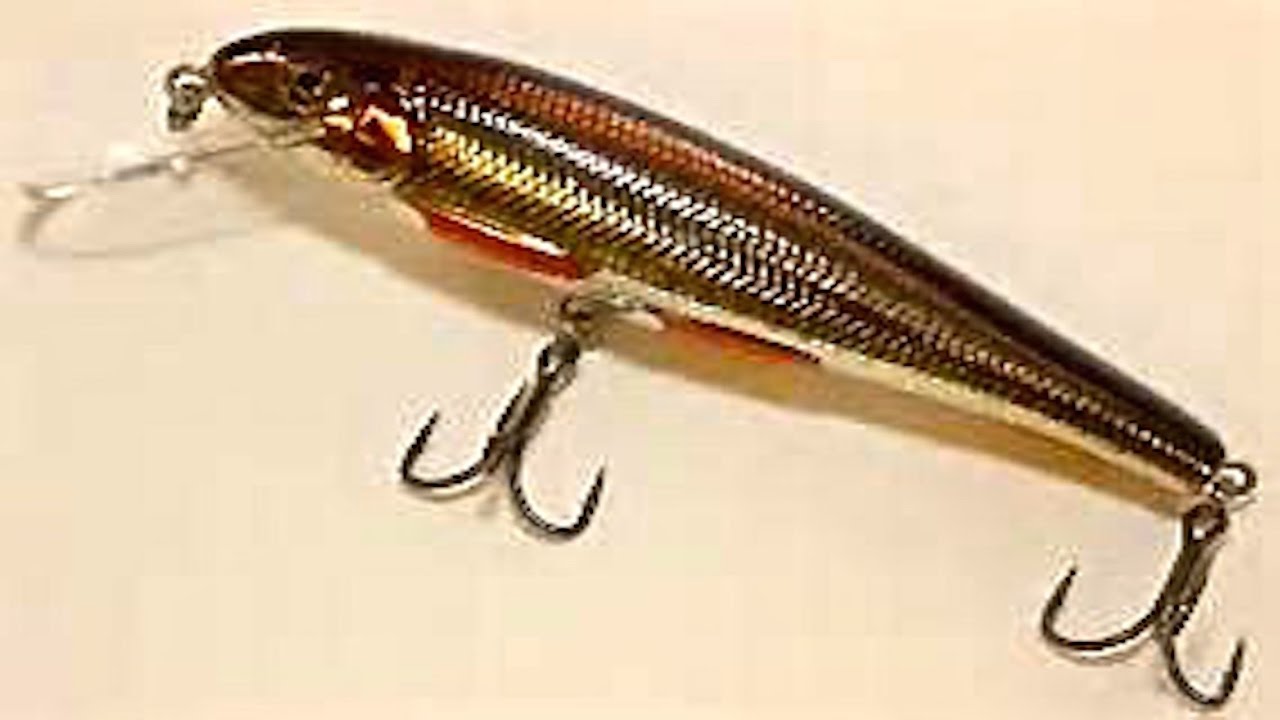 LIVE TARGET SUCKER SLAYS LAKE TROUT! - YouTube