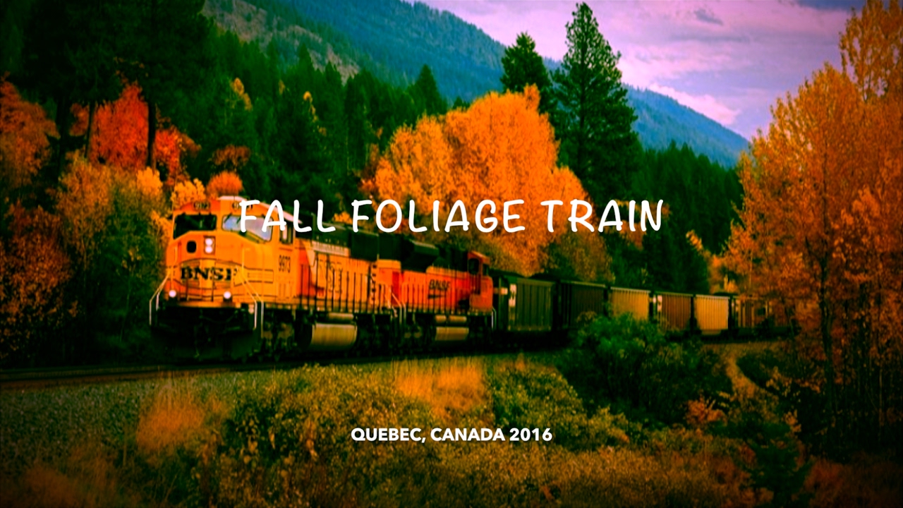The Autumn foliage in Canada, a train trip in Quebec! - YouTube