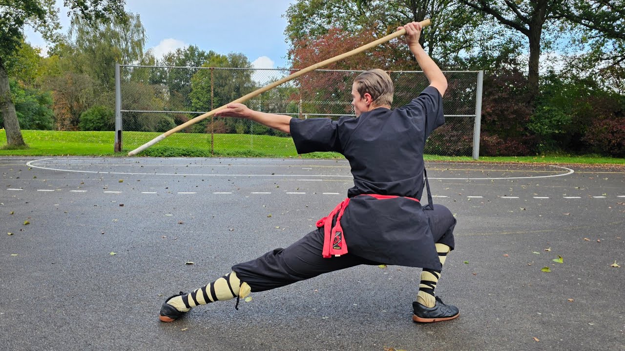 backview: Shaolin Shao Huo Gun 少林烧火棍 Fire Staff Taolu - He Yong Gan Martial Arts - YouTube