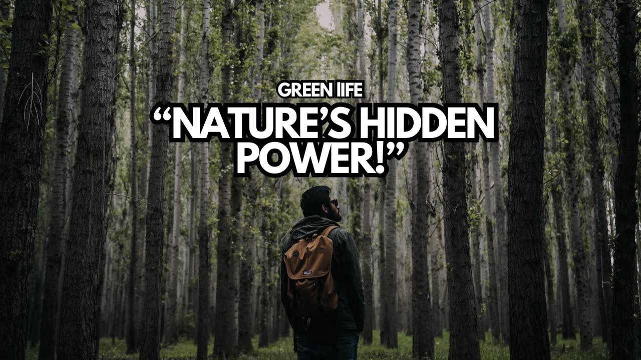 “Hidden Secrets of Nature That Can Change Your Life!” - YouTube