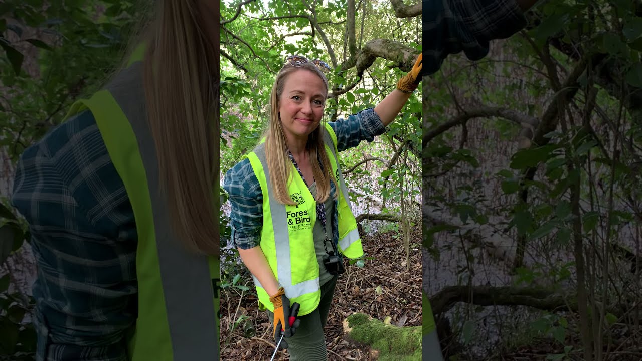 How to unset a Flipping Timmy Possum Trap, with Jenny - YouTube
