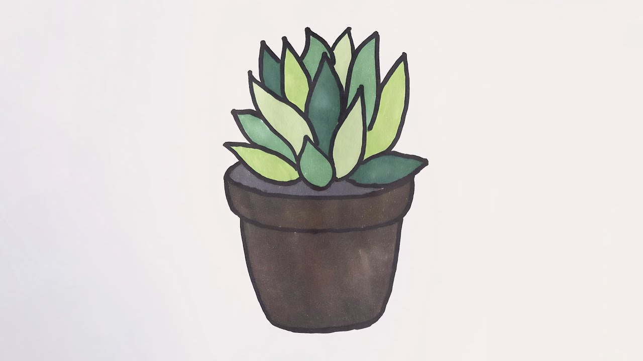 How to Draw a Succulent Plant in a Pot - Easy Step by Step Tutorial for ...