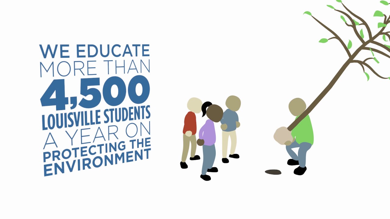 MSD: Education - YouTube
