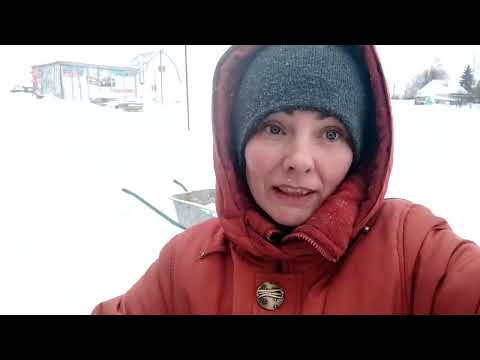 Какой он негодяй.Мы его зарезали.Козы на улице.Чего они орут.Козу забыли.У нас куропатки