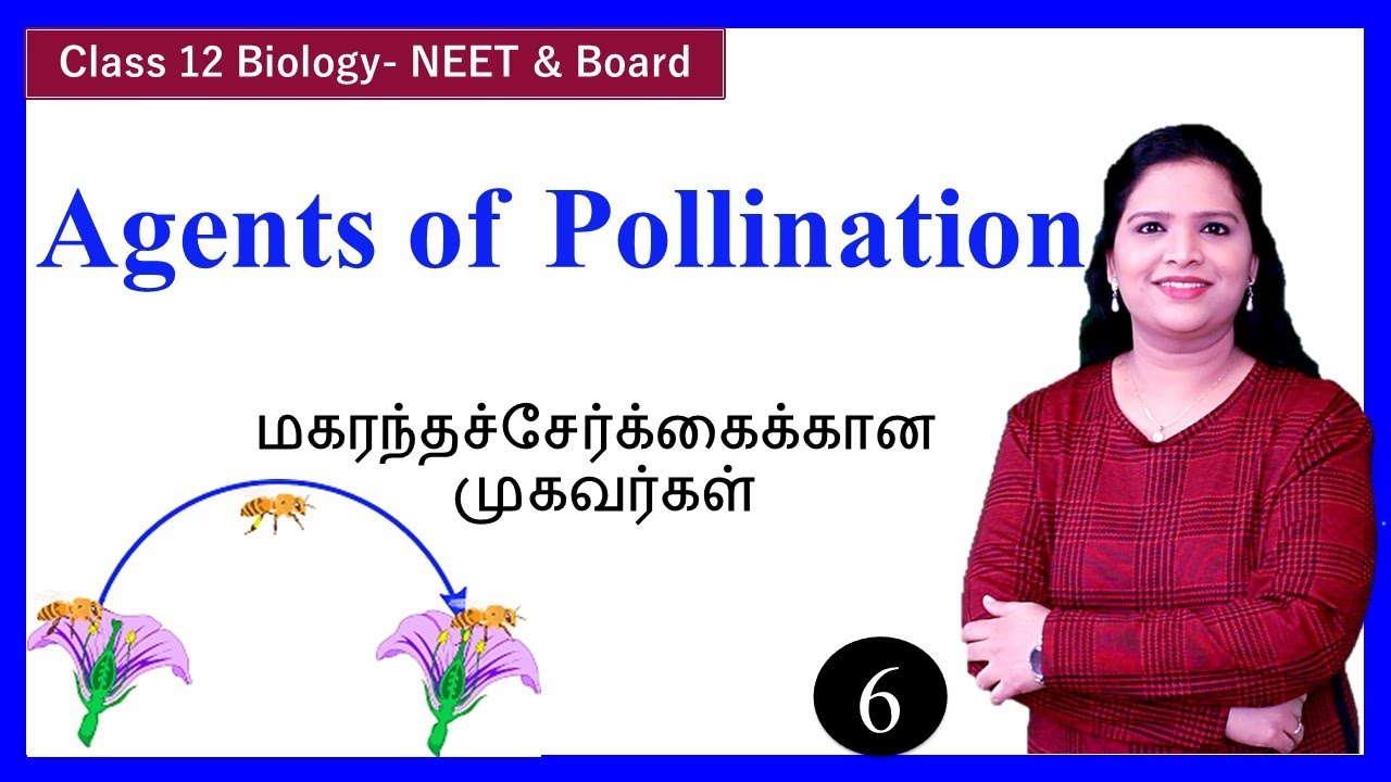 Agents of Cross Pollination | Adaptations for Cross Pollination (Class ...
