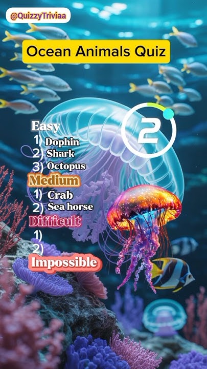🤯Only ocean lover can guess these animals🤯#quiz #ocean #oceanlife # ...
